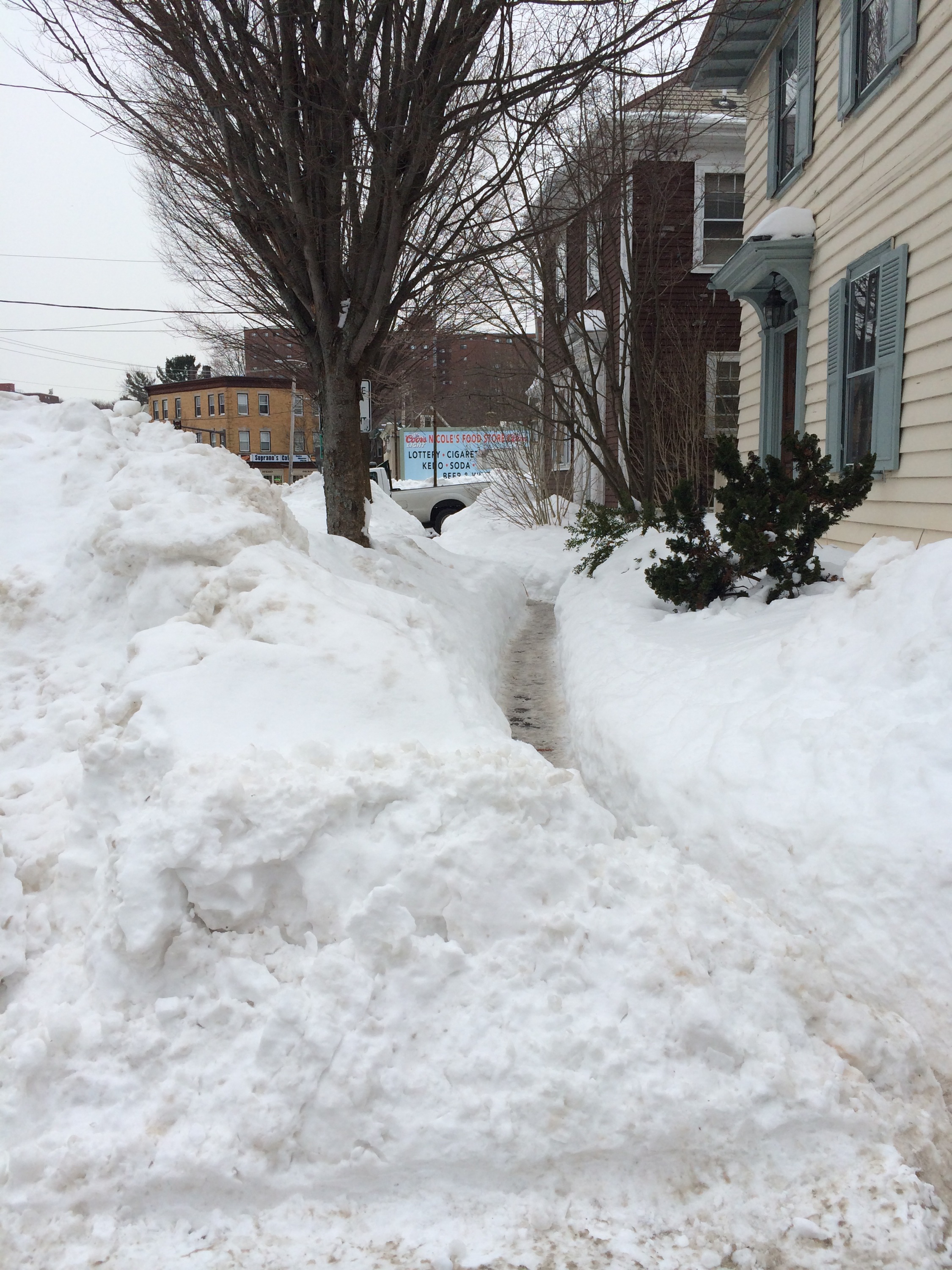 snowed under | Pattern and Outrage : Dee Mallon