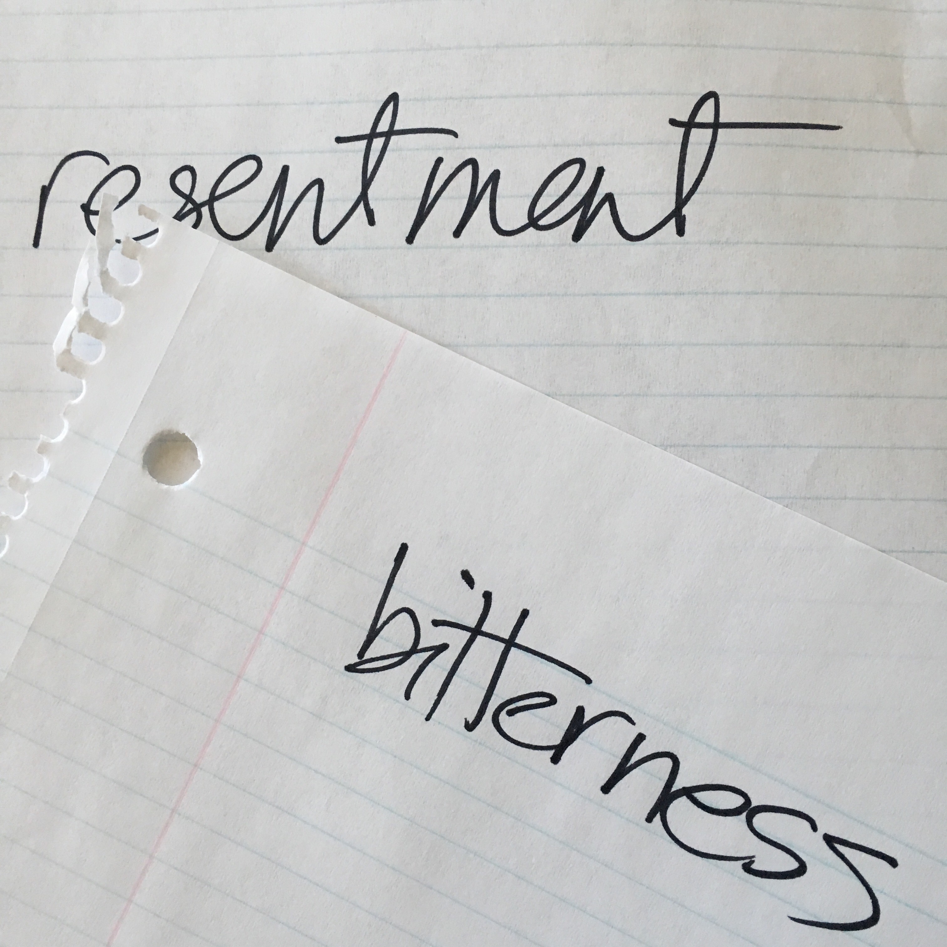 Img 8347 Pattern And Outrage Dee Mallon