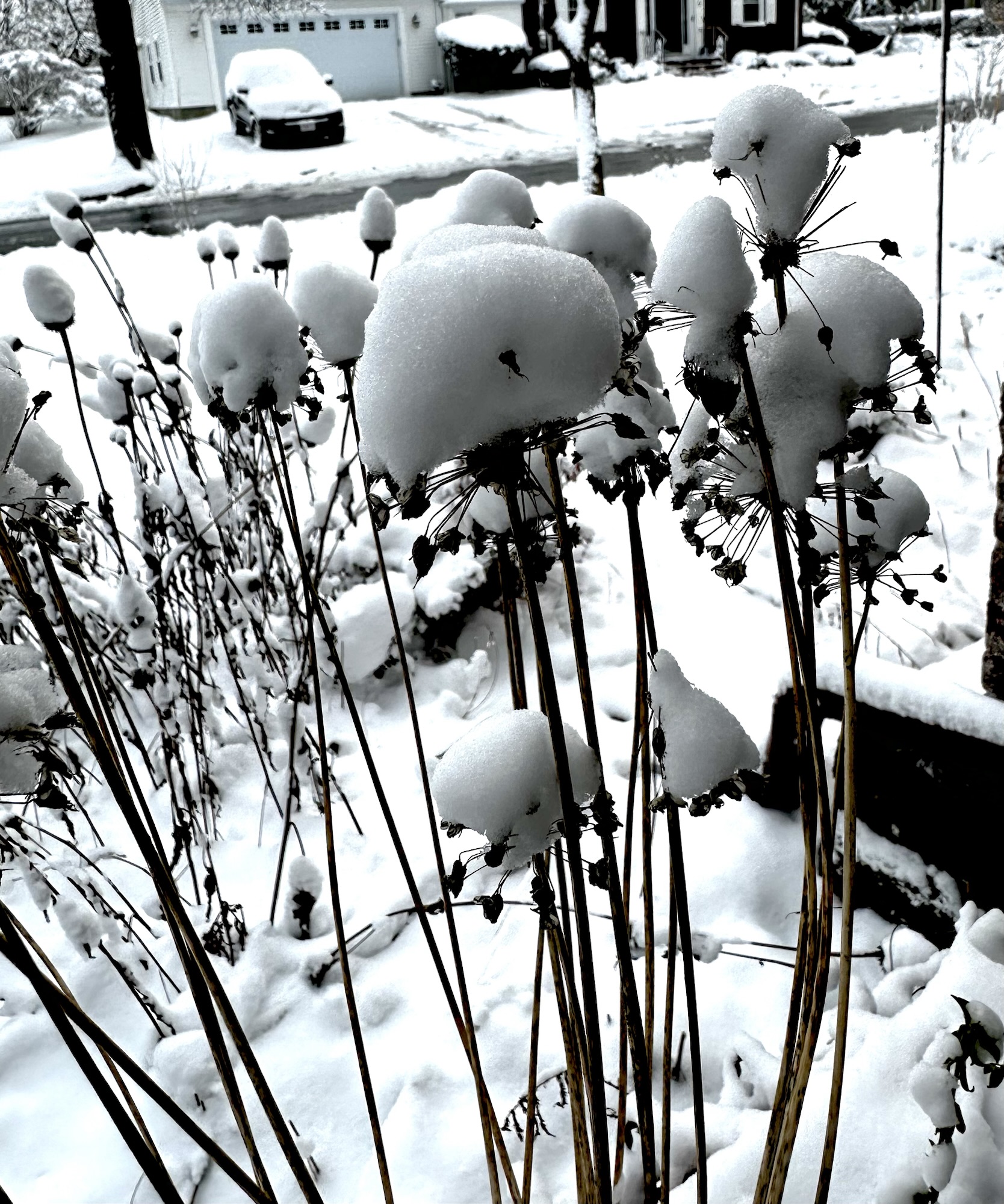A little snow, a little sleep | Pattern and Outrage : Dee Mallon