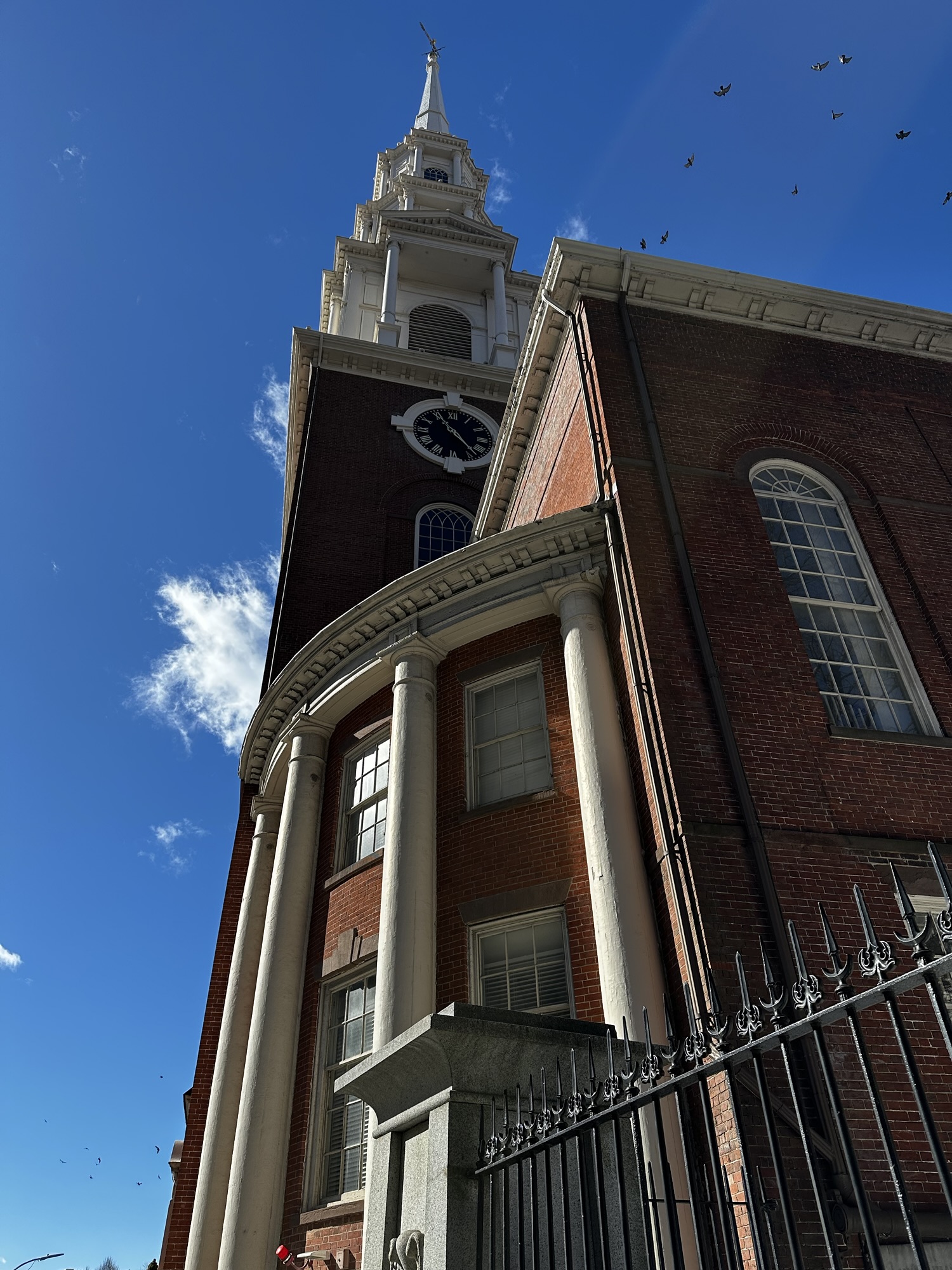 2/14/25 Boston Common | Pattern and Outrage : Dee Mallon