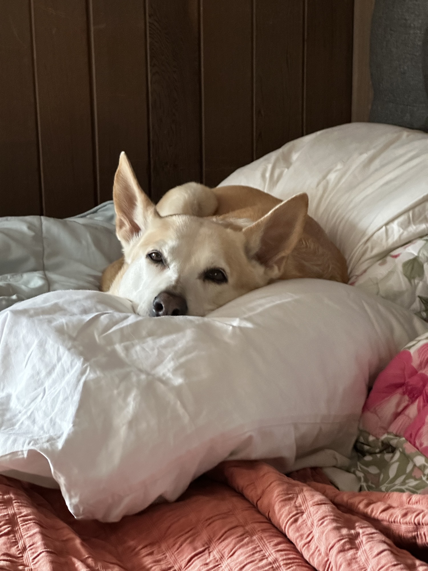 What to say | Pattern and Outrage : Dee Mallon